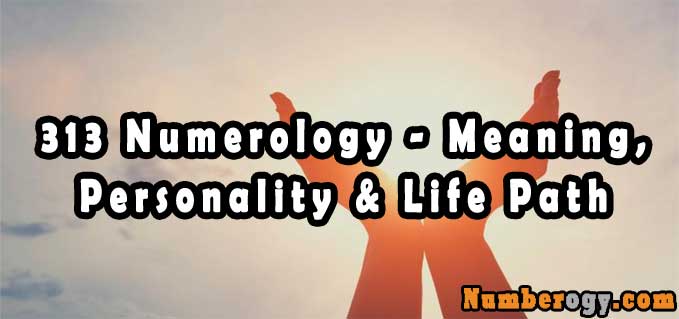 313 Numerology – Meaning, Personality & Life Path