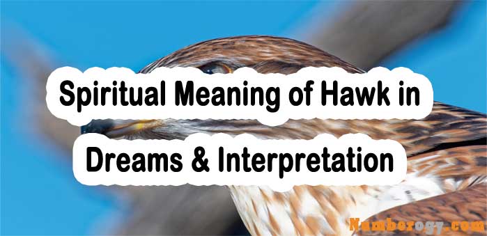 #94 Spiritual Meaning of Hawk in Dreams & Interpretation