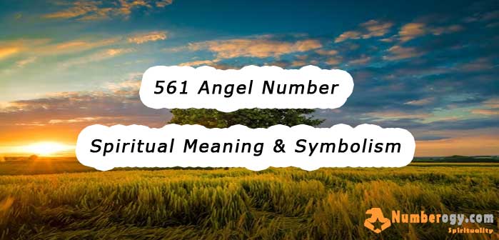 561 Angel Number , Spiritual Meaning & Symbolism