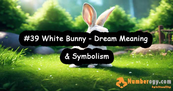#39 White Bunny – Dream Meaning & Symbolism